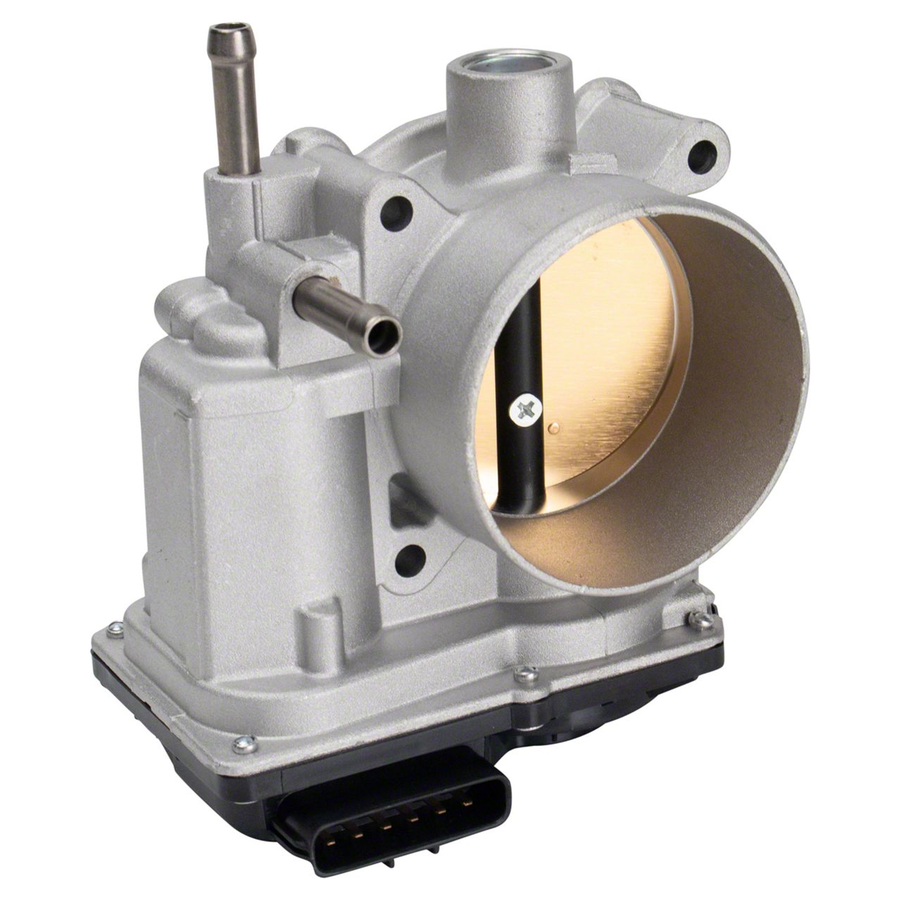 Toyota 4-Runner Throttle Body Assembly (03-09 4.0L 4Runner) - Free Shipping