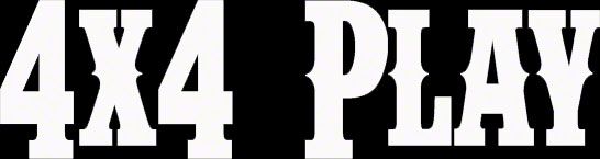 SEC10 Jeep Wrangler 4x4 Play Decal J129920