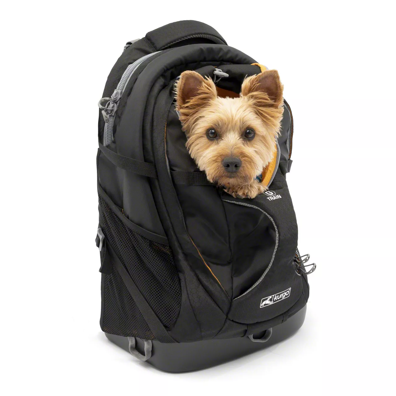 Bronco G-Train K9 Pack V2; Black - Free Shipping