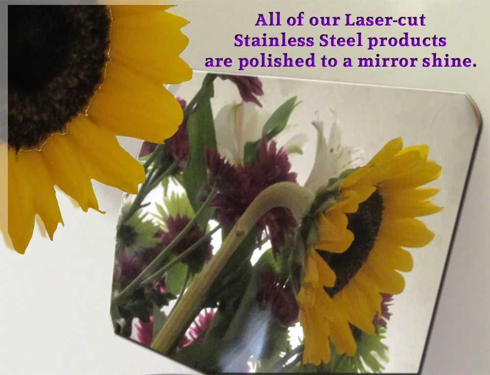 Frontier Tail Light Bezels; Chrome (05-21 Frontier) - Free Shipping