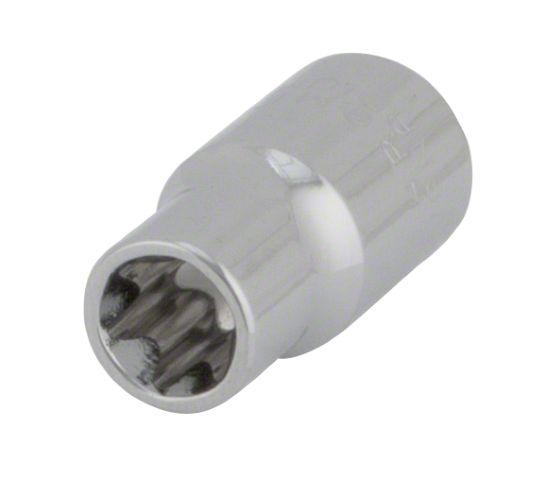 Jeep Wrangler 1/4-Inch Drive External Torx E8 Standard Socket