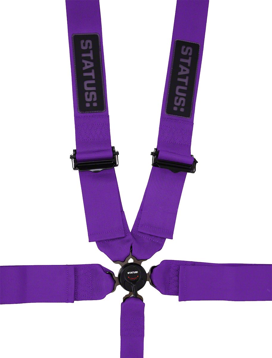 Status: Toyota 4-Runner 5-Point Camlock Harness; Purple SRSB5.PU ...