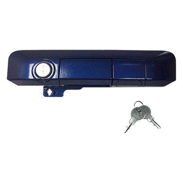 Tacoma Manual Tailgate Lock Handle with Standard Lock; Blue Ribbon (05 ...