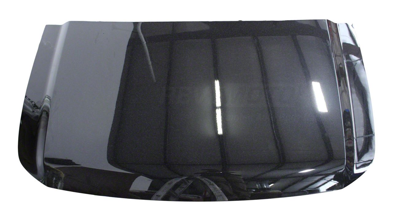 Titan Replacement Aftermarket Hood; Galaxy Black Metallic (04-15 Titan ...