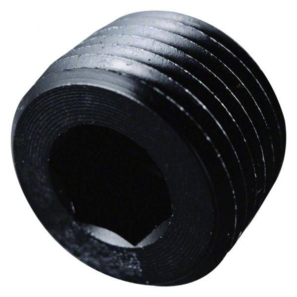 Tundra Internal Pipe Plug; 1/8 NPT; Black - Free Shipping